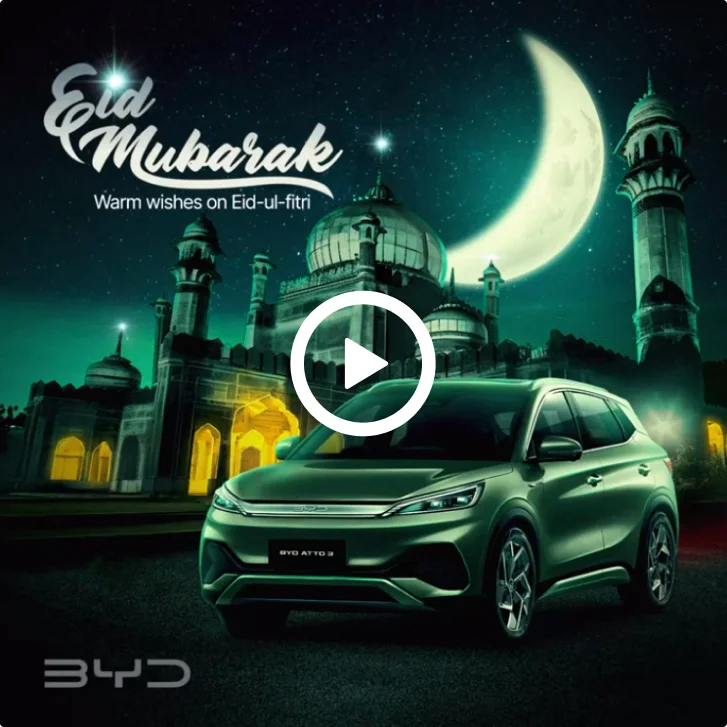 CodeVidia: Unlimited White-Label Design & Development Services