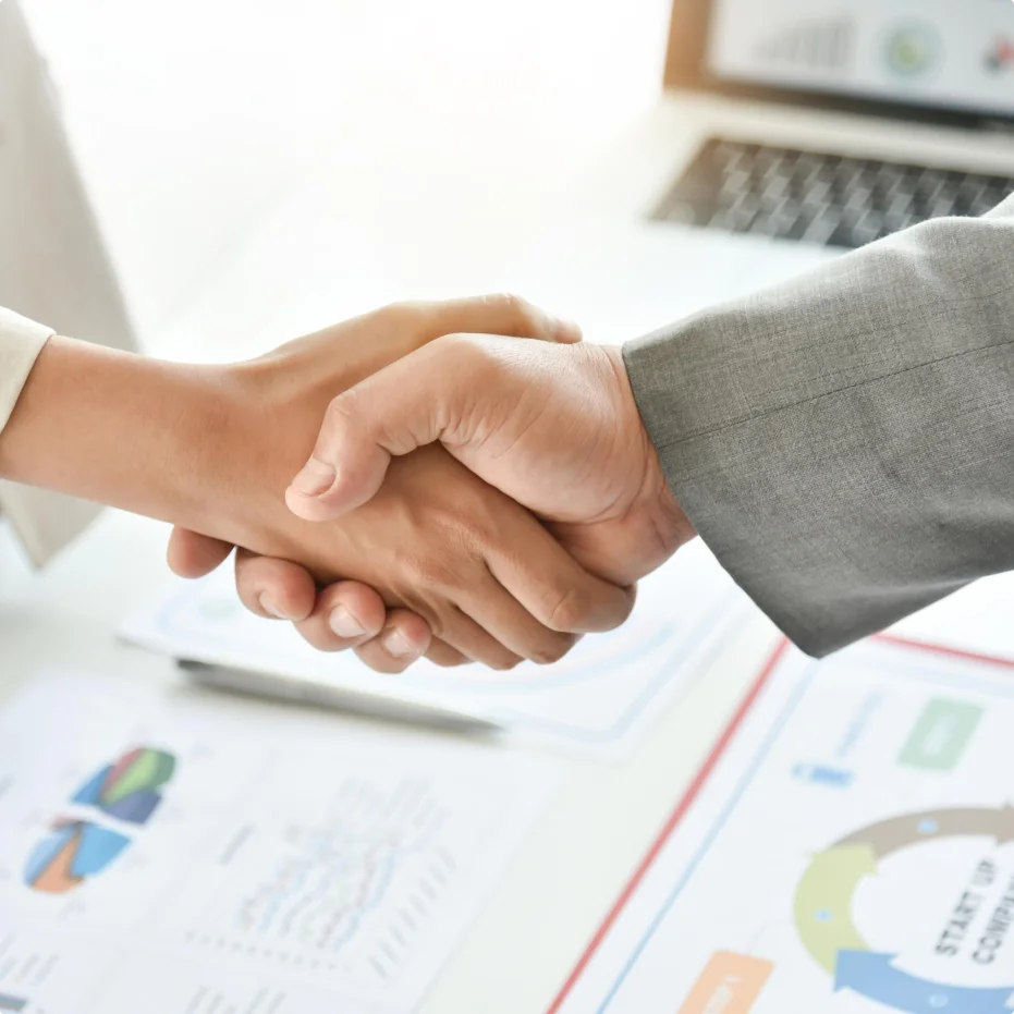 CodeVidia: White Label Solutions for Digital Agencies