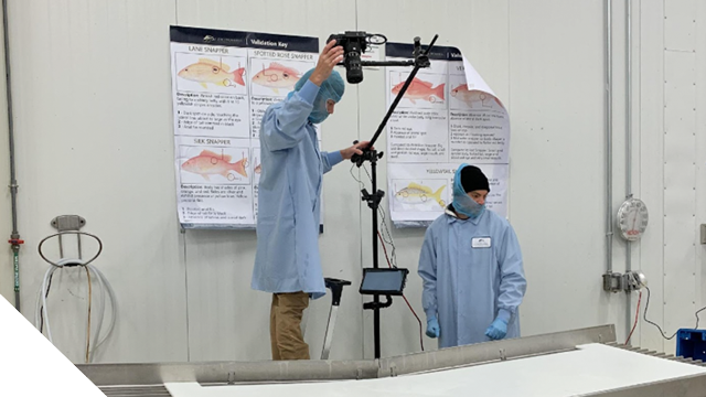 Fisheries Technology | New England Marine Monitoring