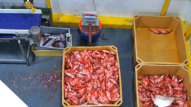 Fisheries Technology | New England Marine Monitoring Fisheries Technology | New England Marine Monitoring