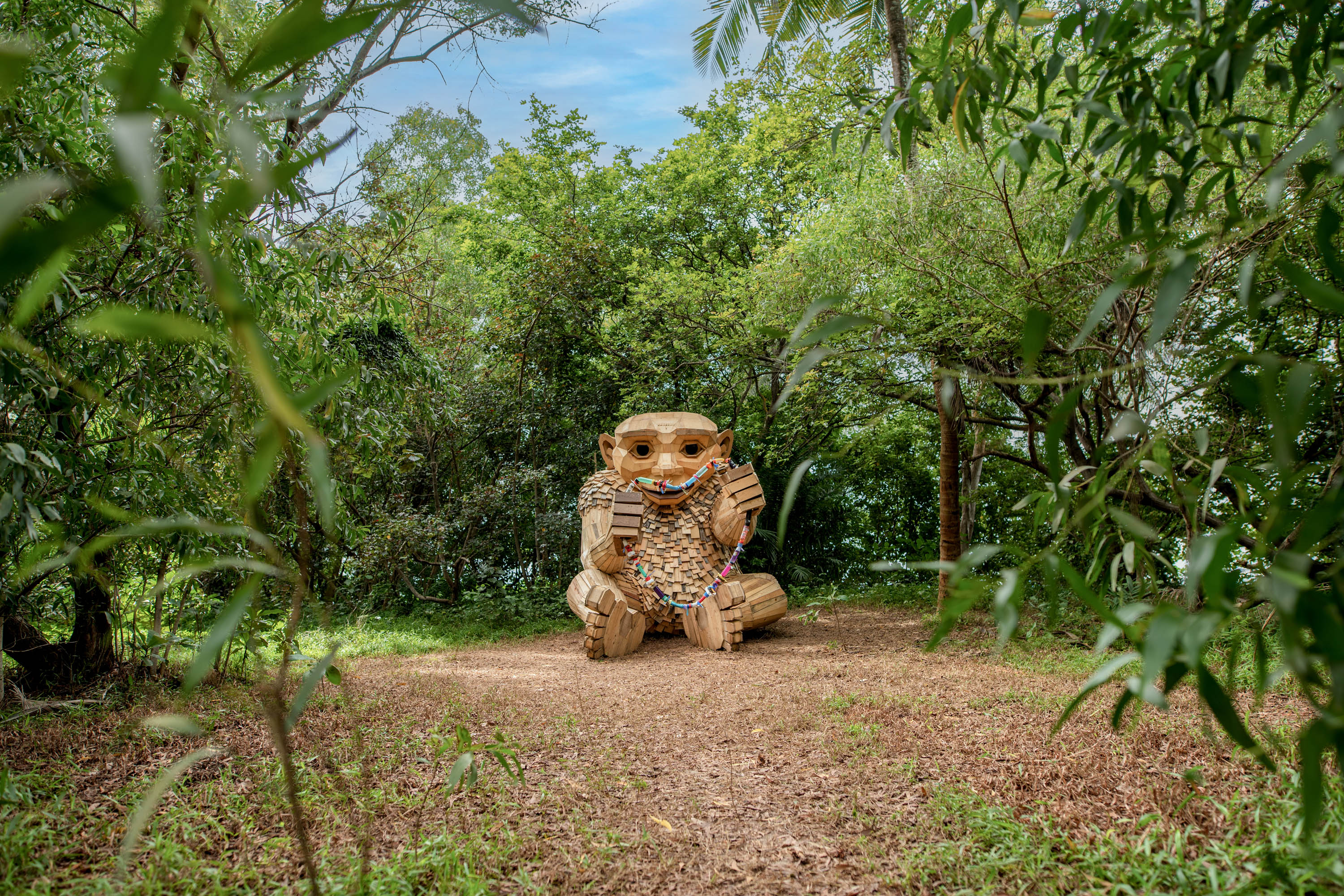 Birds in Beirut | Portfolio