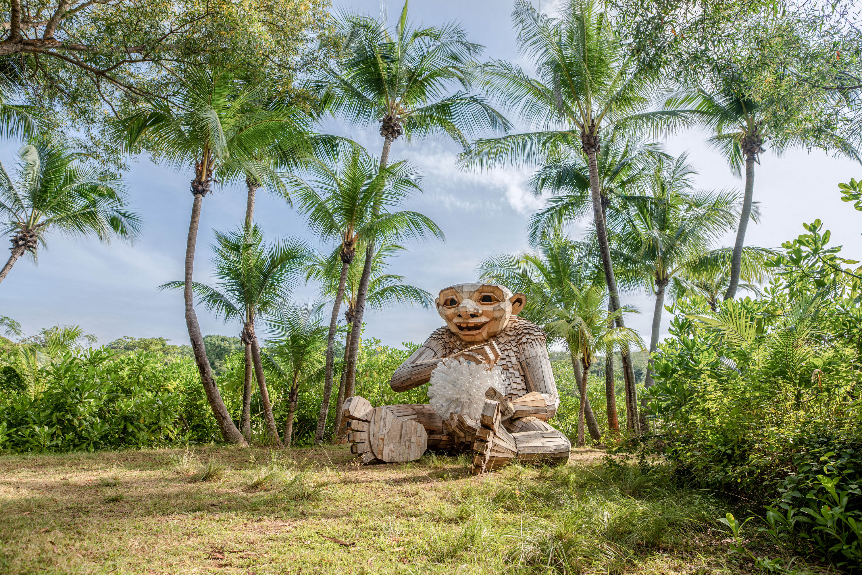 Birds in Beirut | Portfolio
