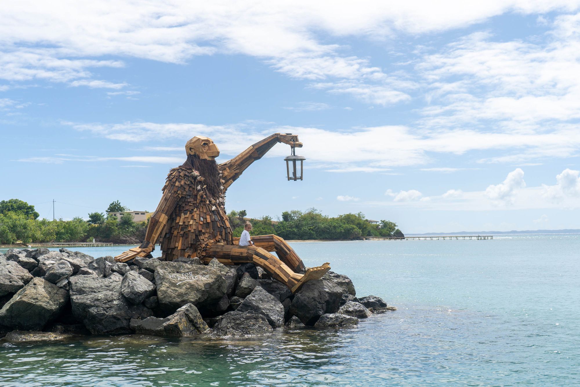 #039 Hector el Protector (2) | Portfolio