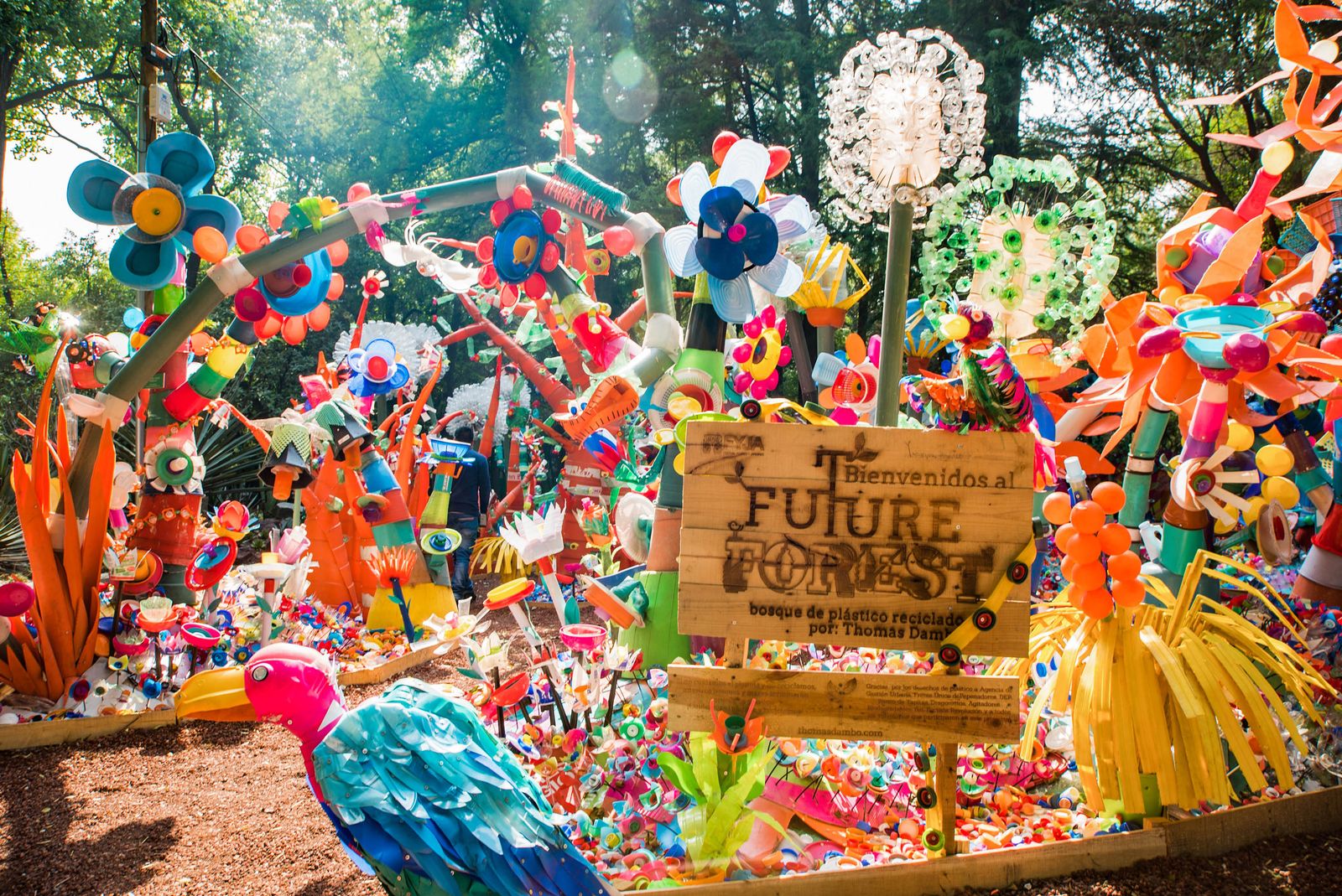 The Future Forest | Portfolio