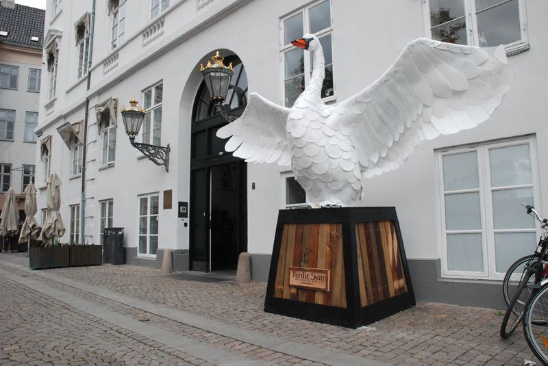 Nordic Swan | Portfolio