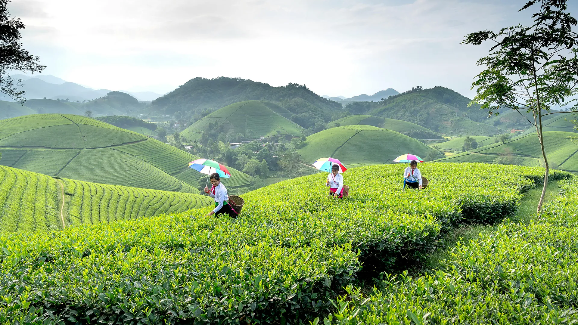 Tour speakers | Jon Baines Tours