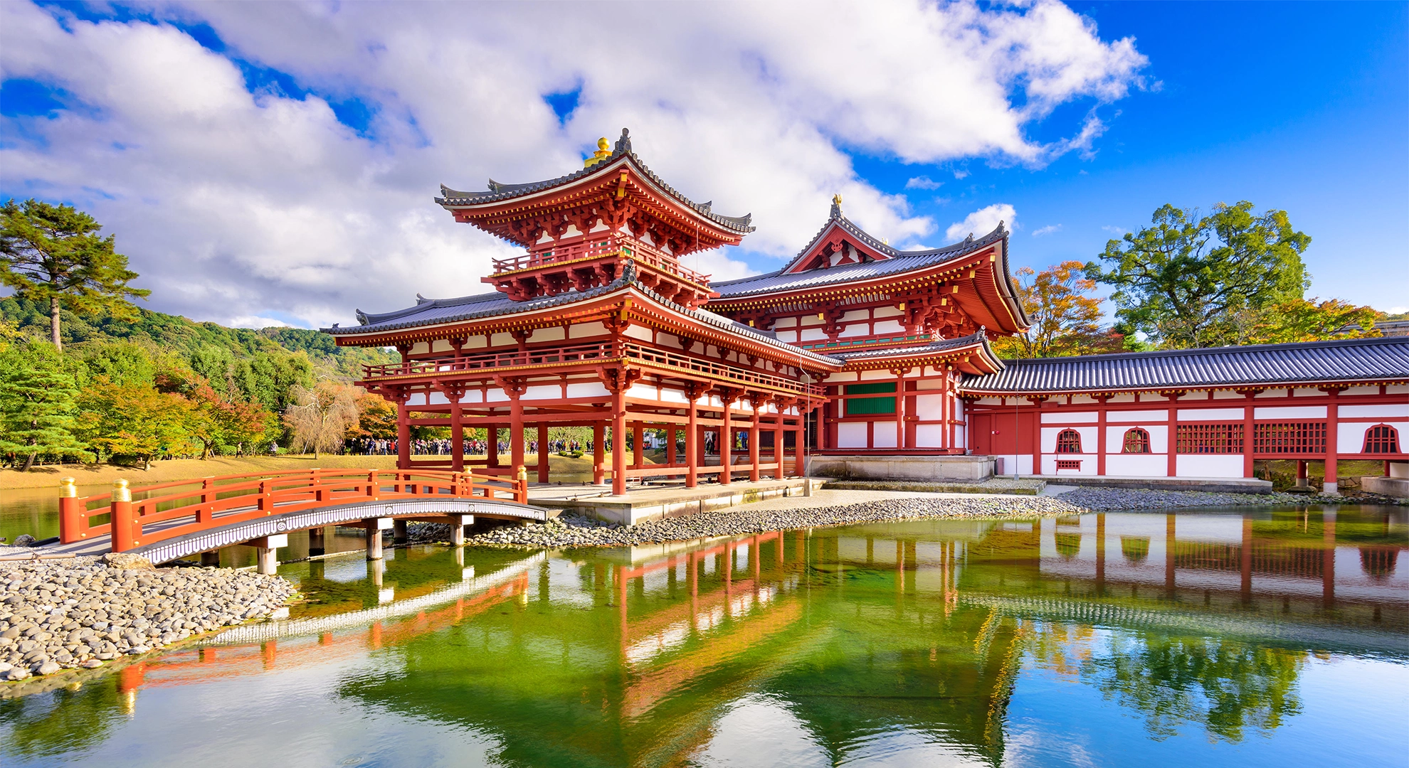 Home | Jon Baines Tours