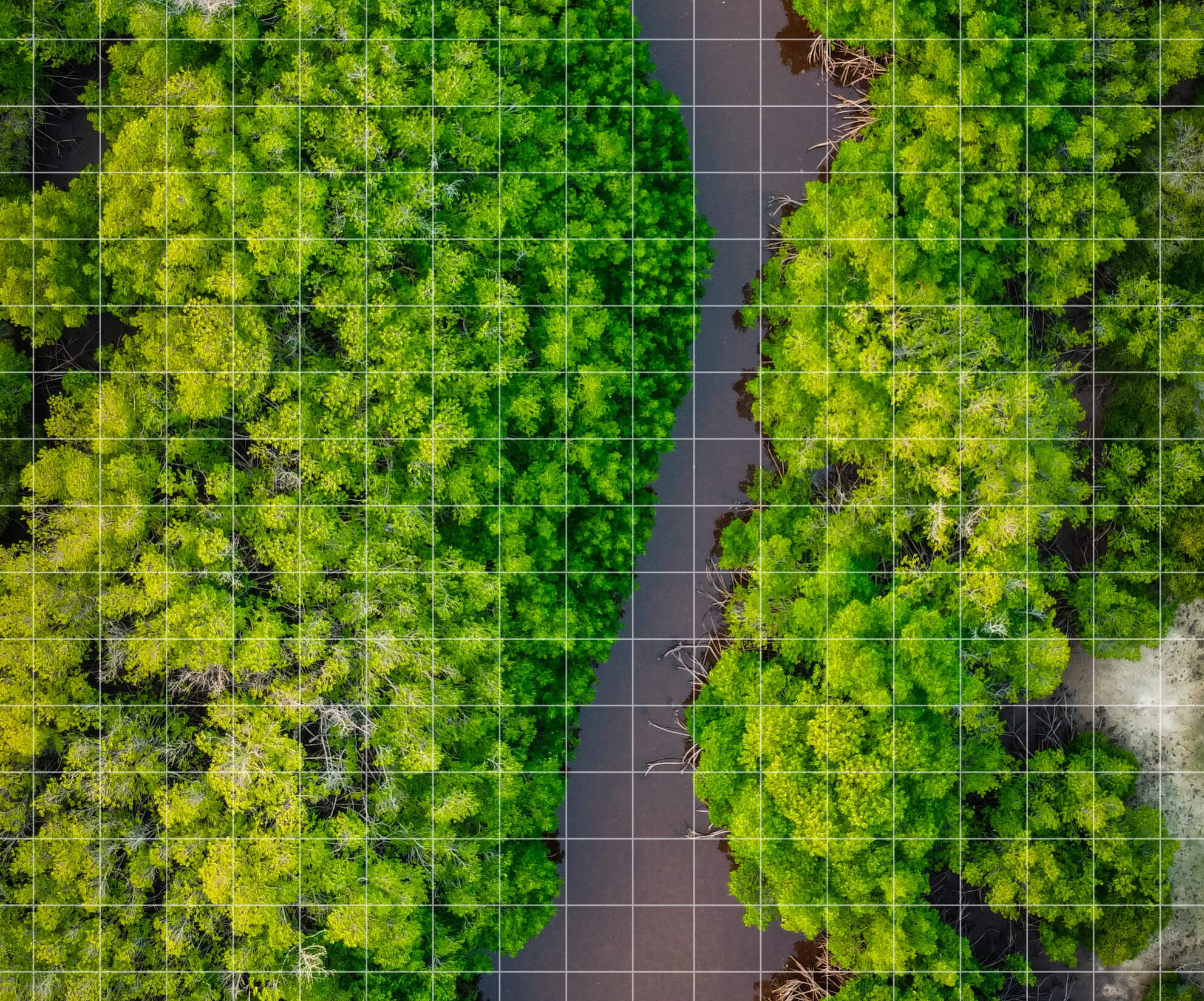 Inverto - Rewilding coastlines