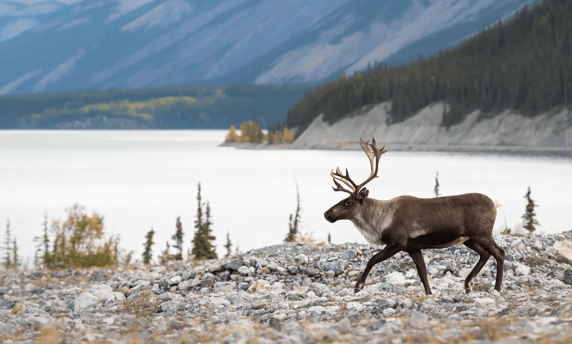 Clients and case studies - Merixstudio