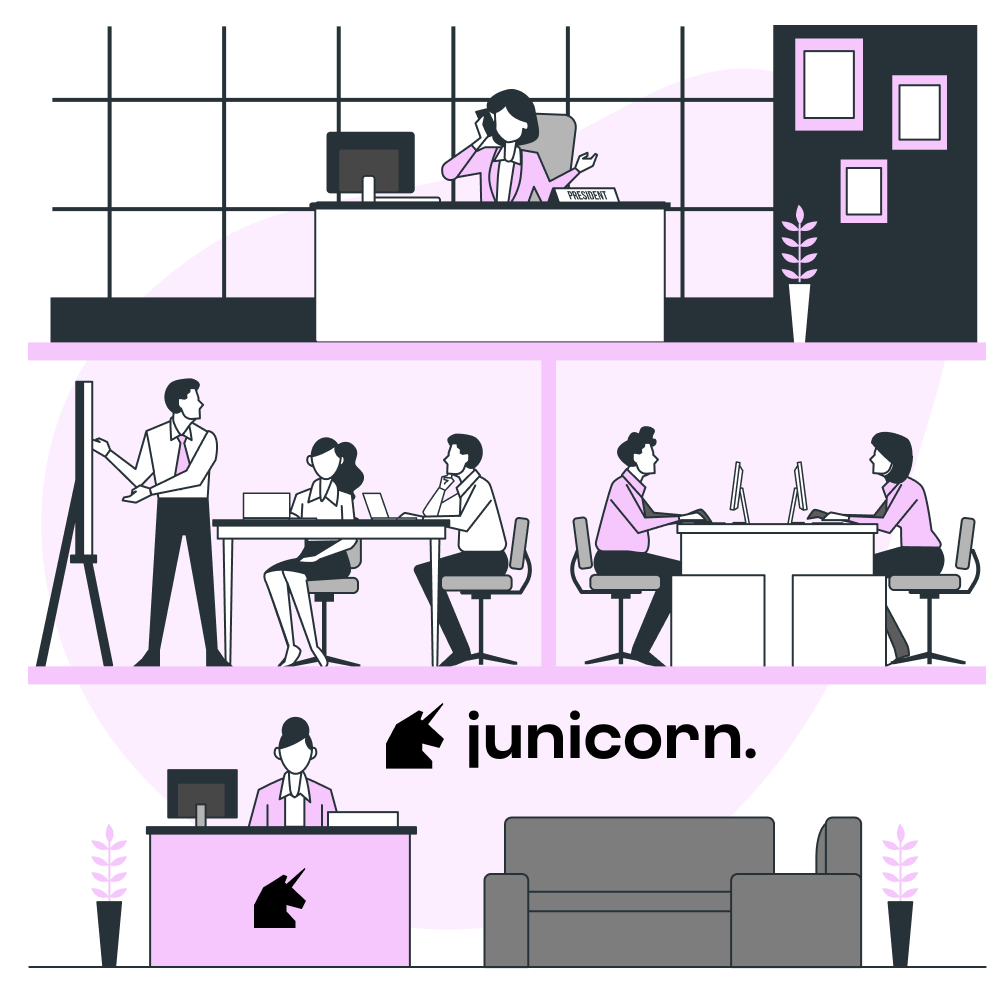 Junicorn Consulting