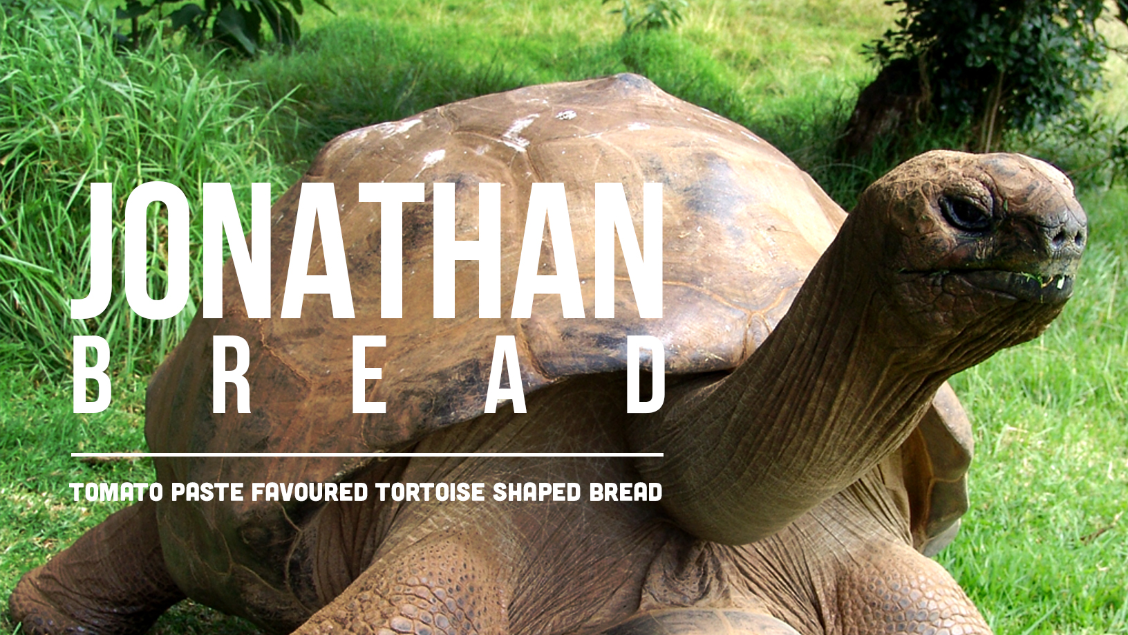 Better than sliced bread