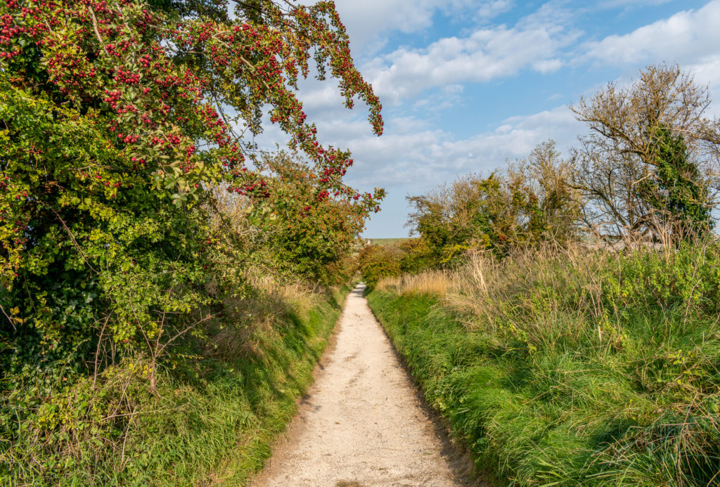 The Ridgeway - British Pilgrimage Trust