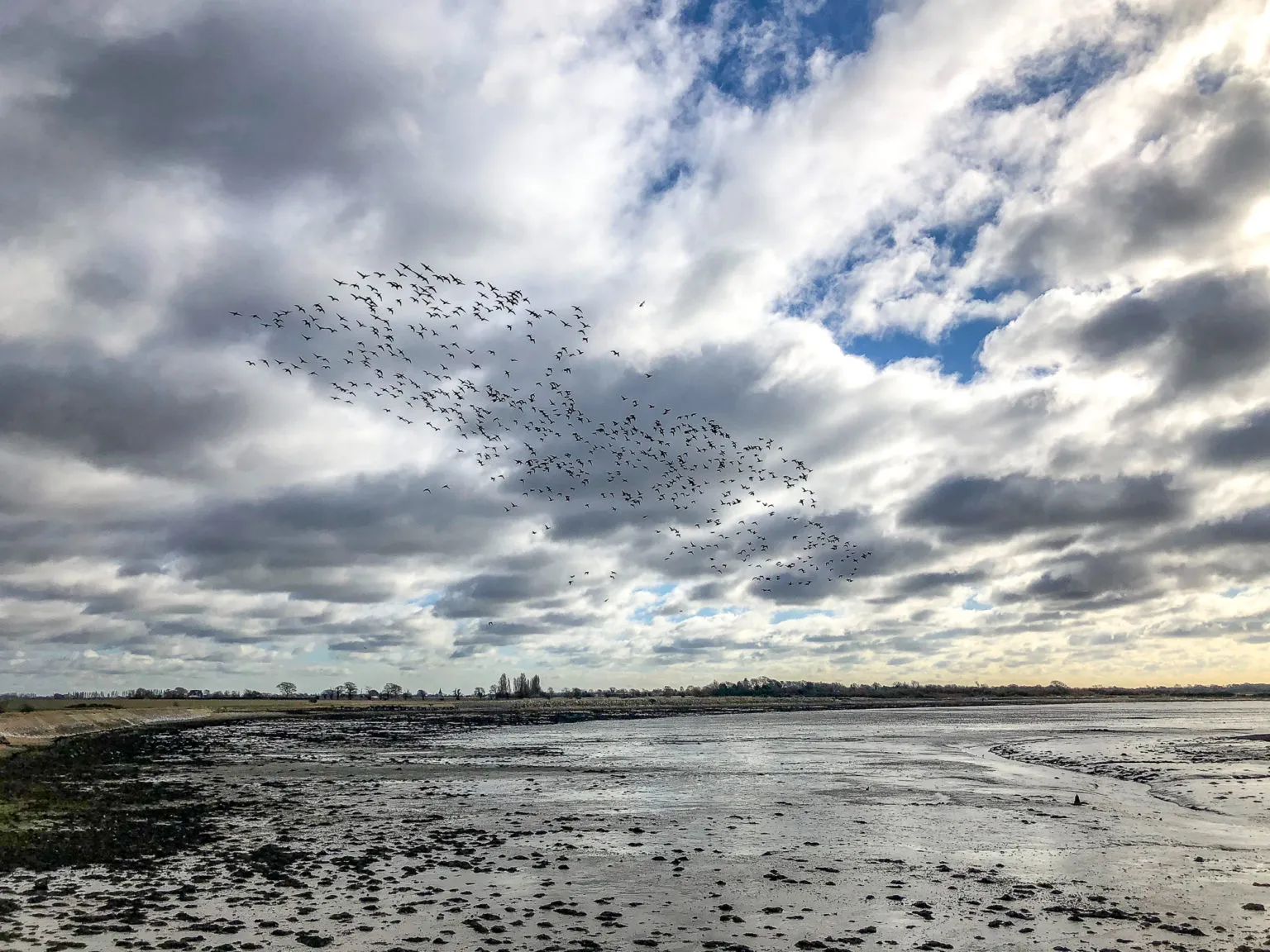 Old Way 3 – Havant to Chichester: Mudflats and Seabird Song - British ...