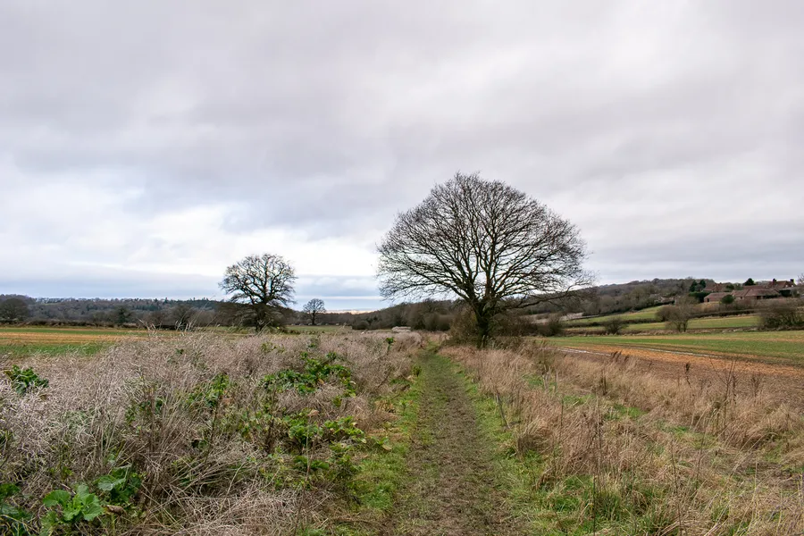 The Abbesses' Way - British Pilgrimage Trust