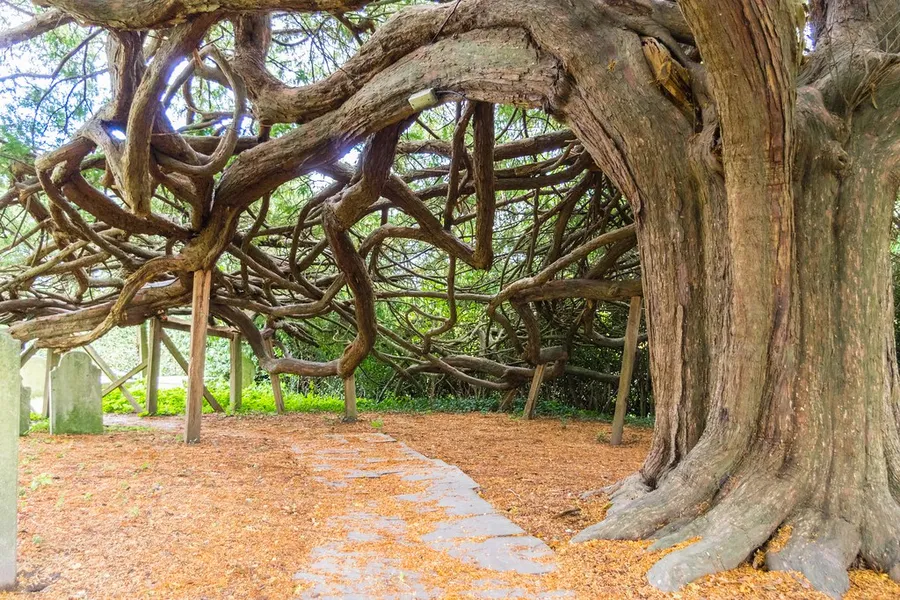 Canterbury-Becket Way - British Pilgrimage Trust