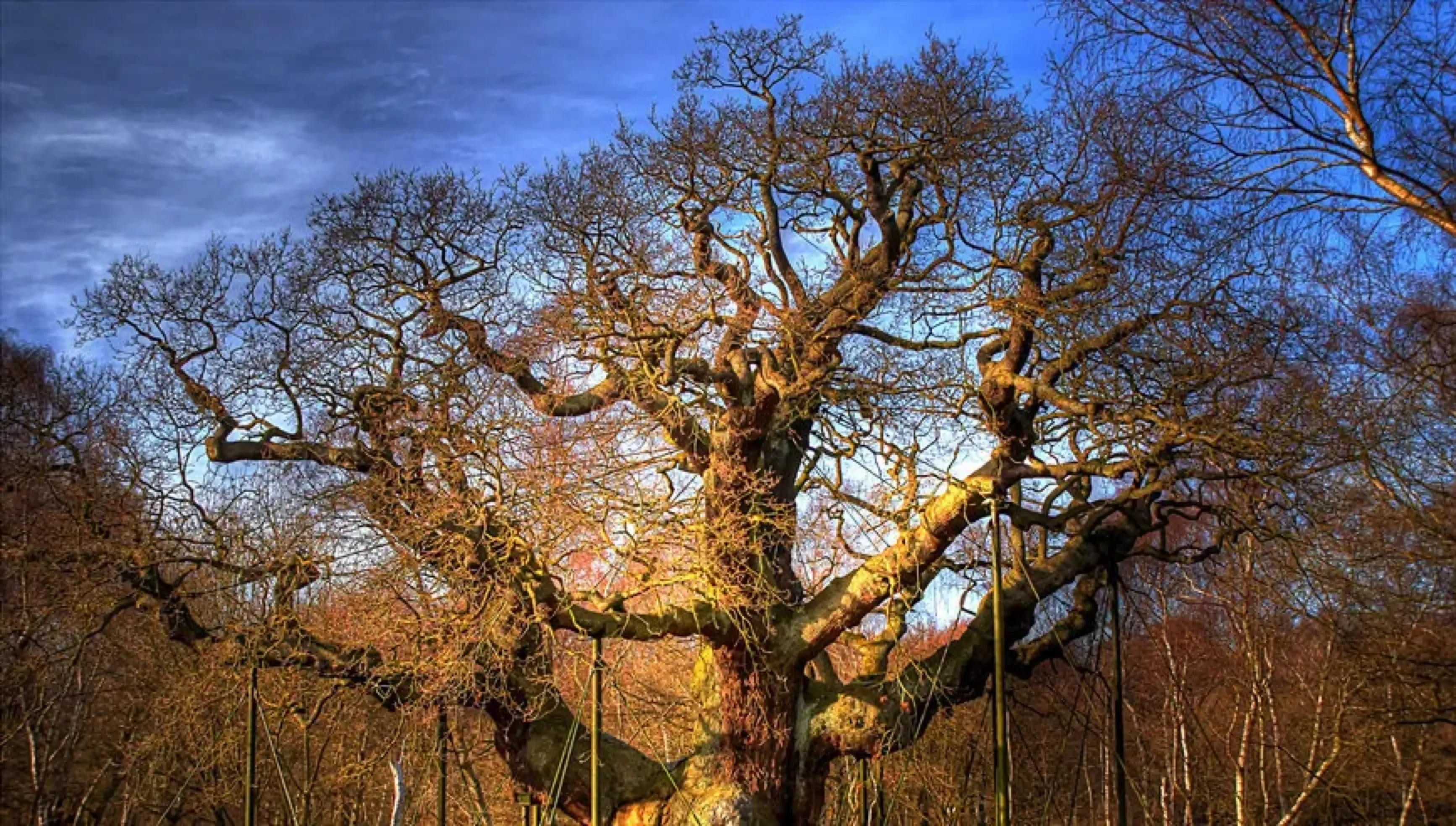 Robin Hood Way - British Pilgrimage Trust