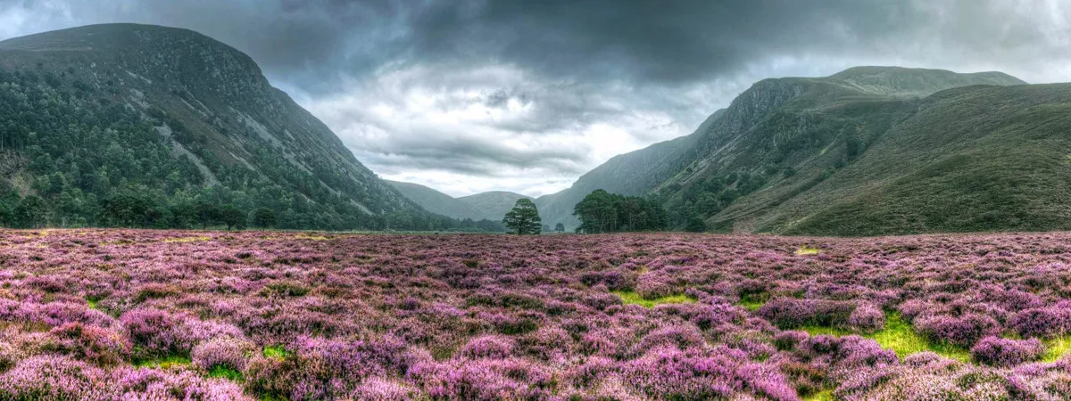 The Deeside Way - British Pilgrimage Trust