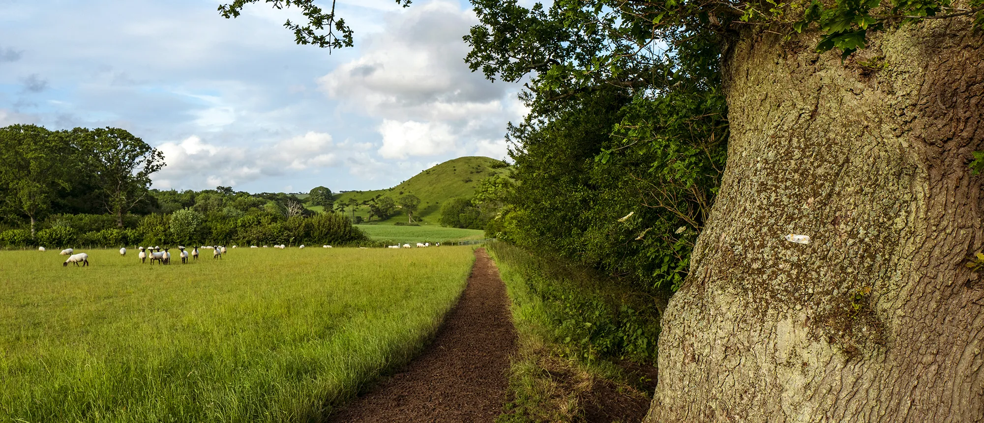 Britain's Holy Places