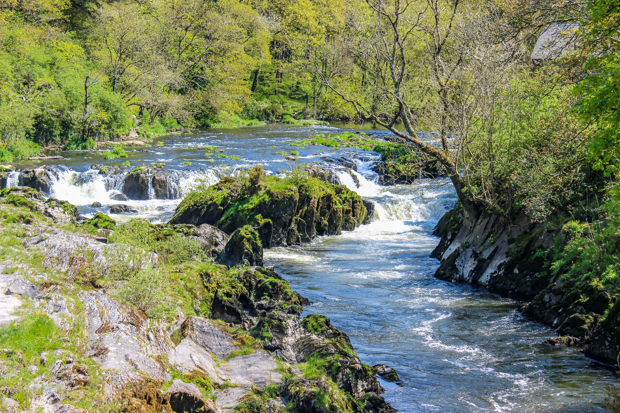 Teifi River Pilgrimage - British Pilgrimage Trust
