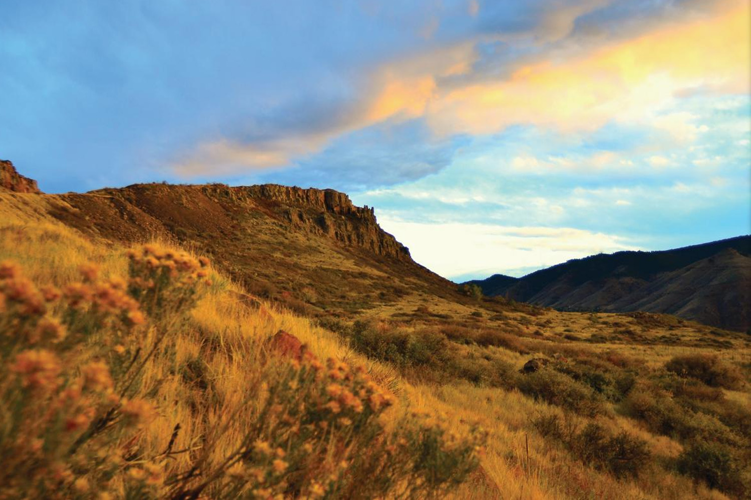 TK Morrison Construction