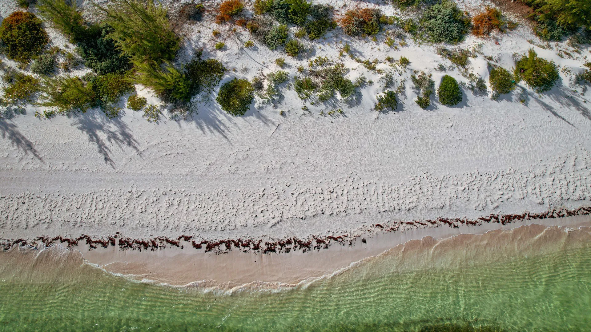 Salterra, a Luxury Collection Resort, Turks & Caicos