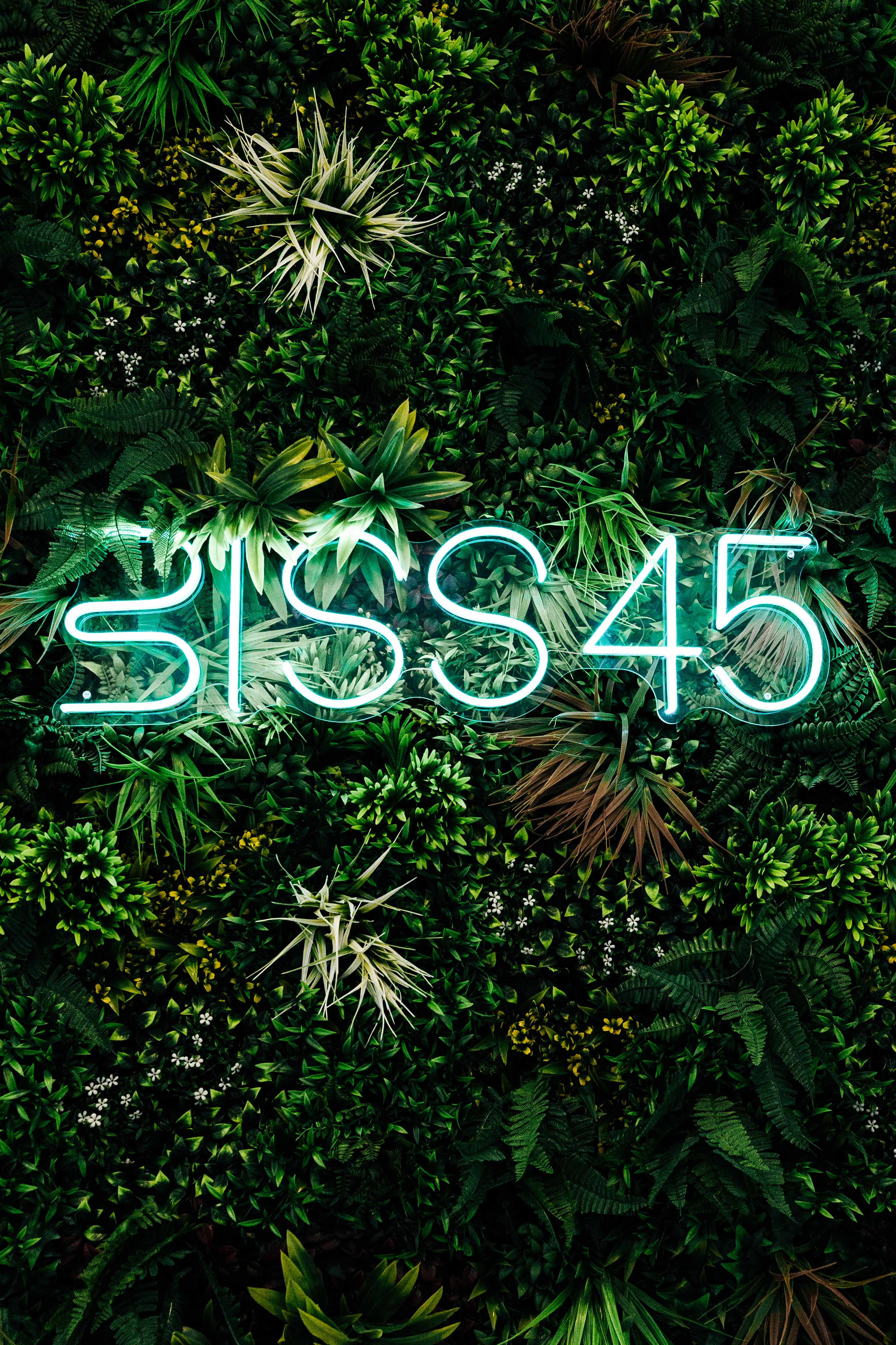 Unser Team bei BISS45: Experten für Ihr Lächeln