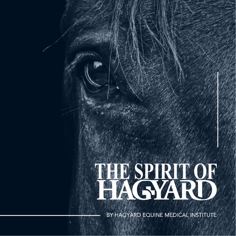 Hagyard Equine Medical Institute Podcast - Equine Veterinary Insights