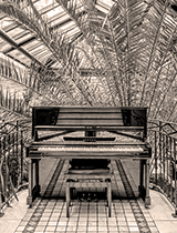 Machefert Group | Notre histoire