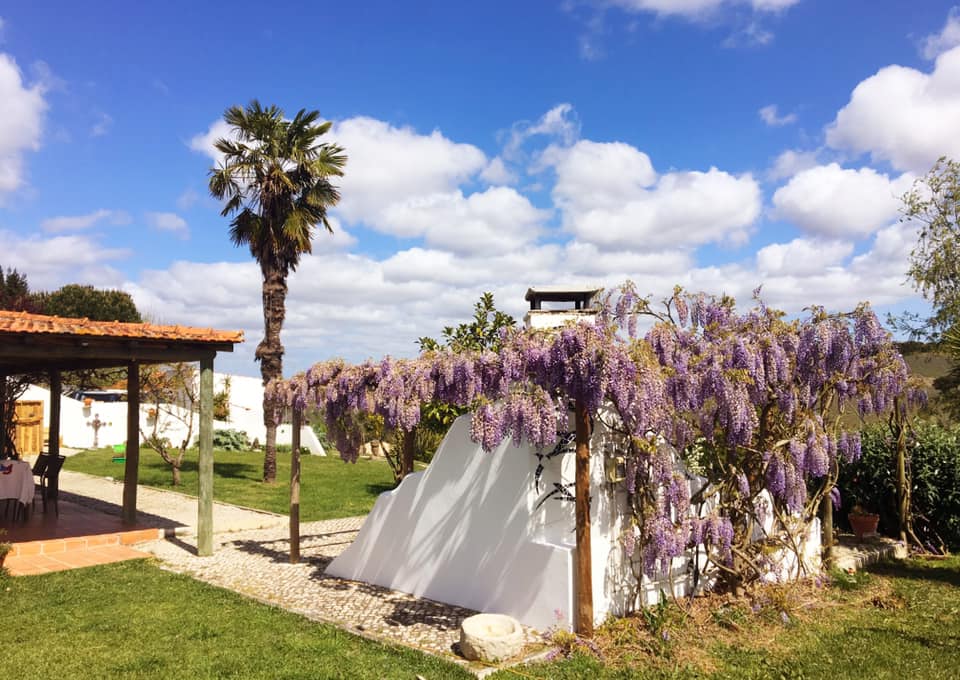 Quinta Antes o Vento - Holiday houses in Portugal