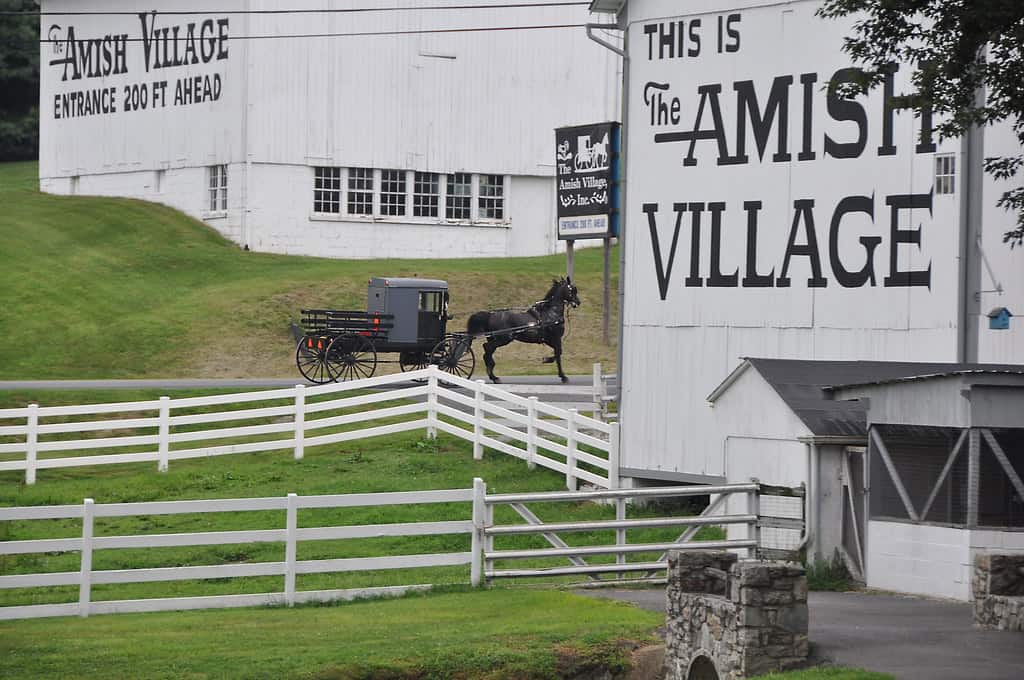 Top 13 Amish Communities in America : Culture Guide