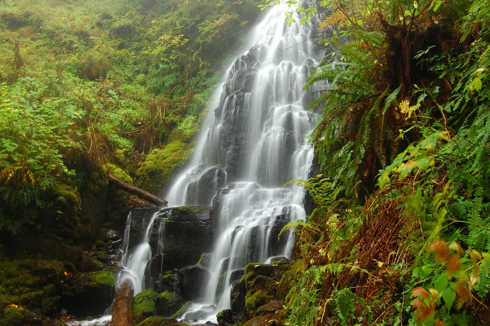 15 Best Waterfalls in Oregon (Highest & Most Beautiful)