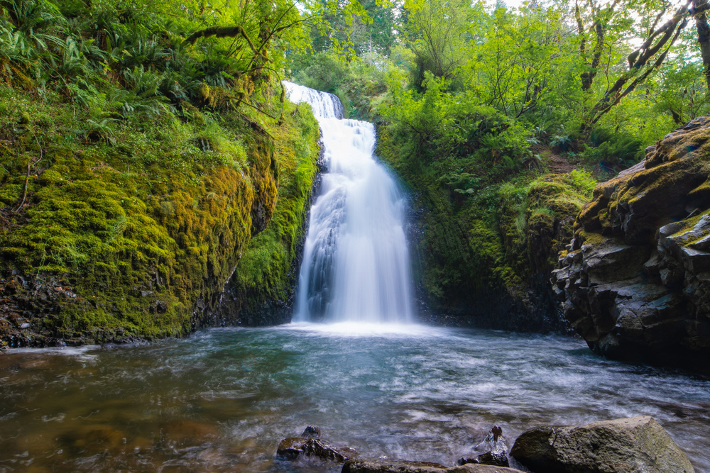 15 Best Waterfalls in Oregon (Highest & Most Beautiful)