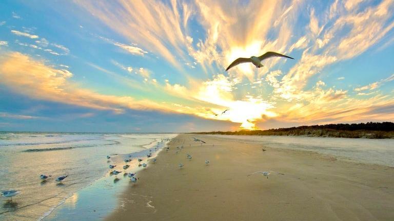 10 Fun Things To Do In Pawleys Island, South Carolina