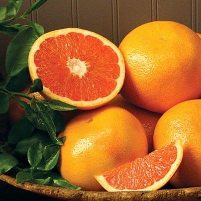 50 U.S State Fruits: Foodies Guide & Recipes!