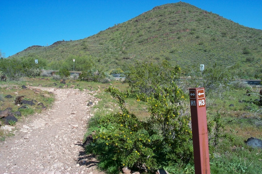 15 Best Hiking Trails in Phoenix, AZ (for Any Level)