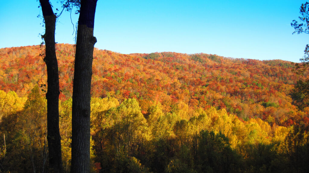15 Best Hiking Trails in Tennessee (with Beautiful Waterfalls!)