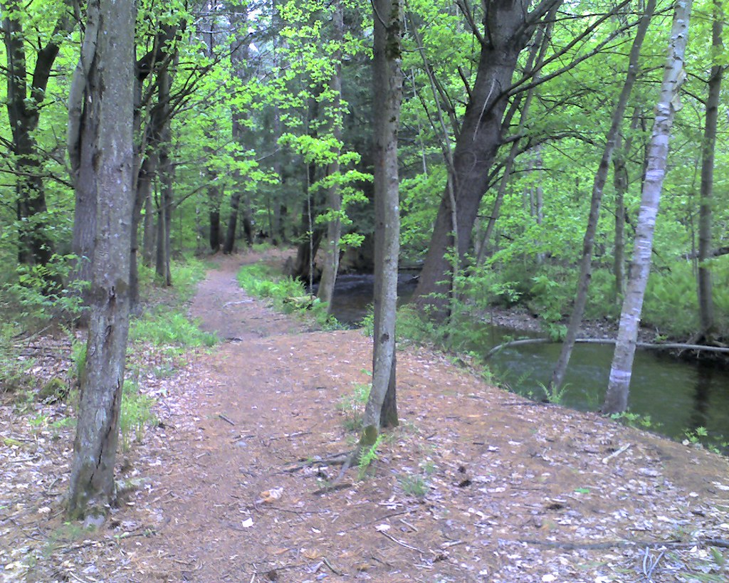 20 Best Hiking Trails in Columbus, Ohio (Kid & Pet-Friendly Trails)