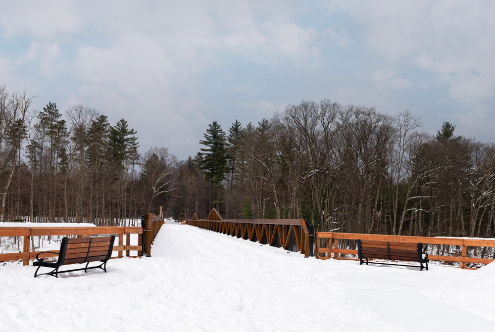 Top 20 Best Catskills Hiking Trails (Pet-Friendly & All Difficulties)