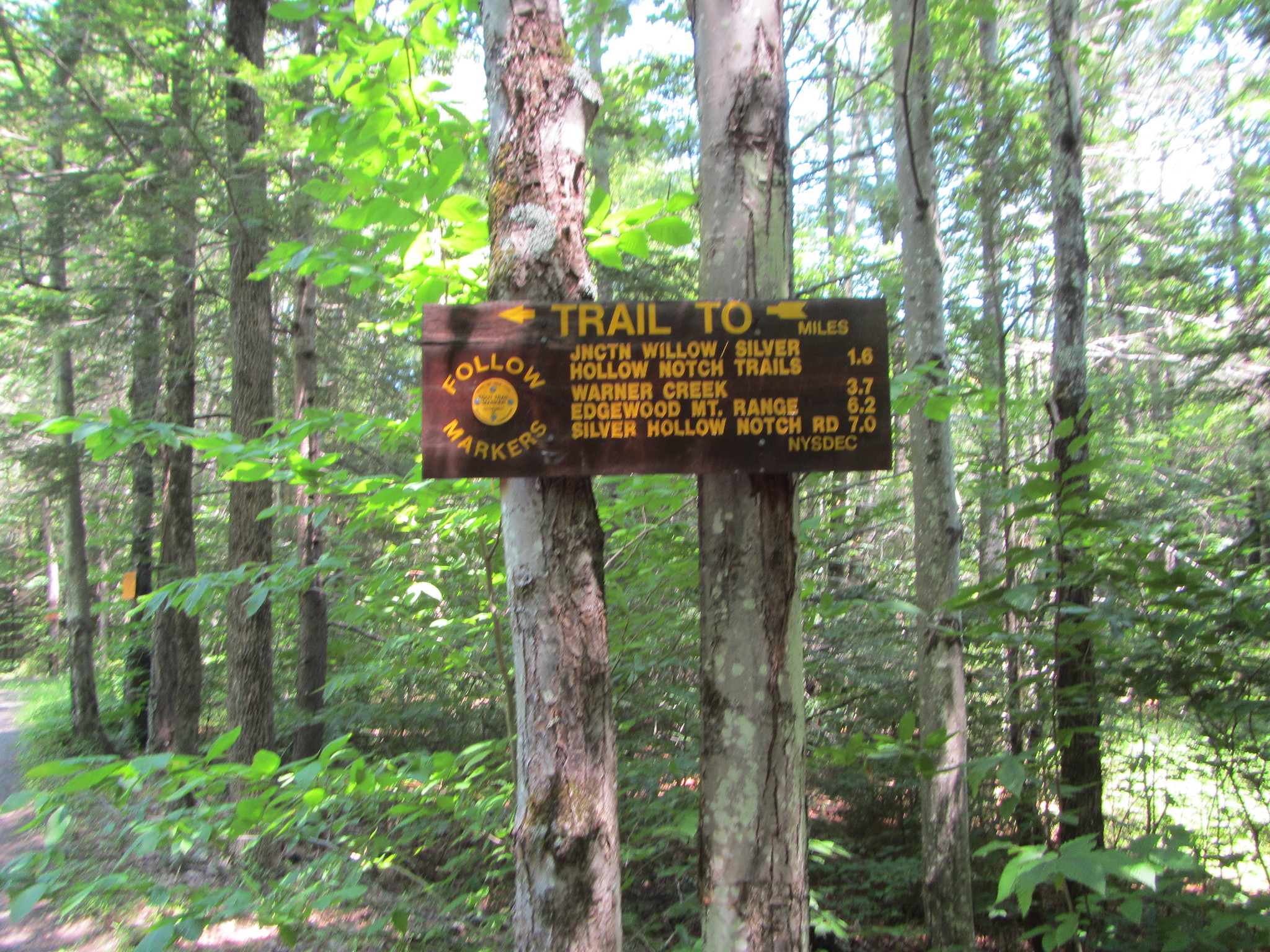 Top 20 Best Catskills Hiking Trails (Pet-Friendly & All Difficulties)