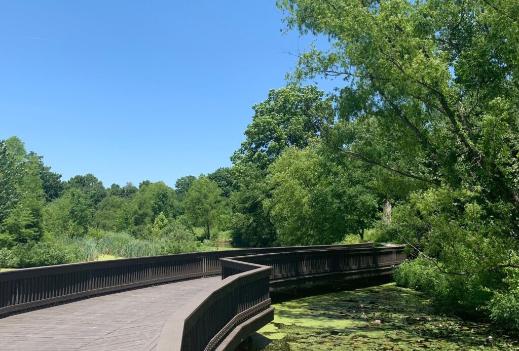 30 Best St. Louis Hikes (To Explore Nature For All Hiking Levels)