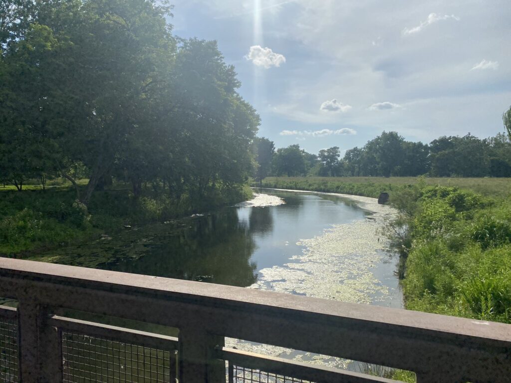 30 Best St. Louis Hikes (To Explore Nature For All Hiking Levels)