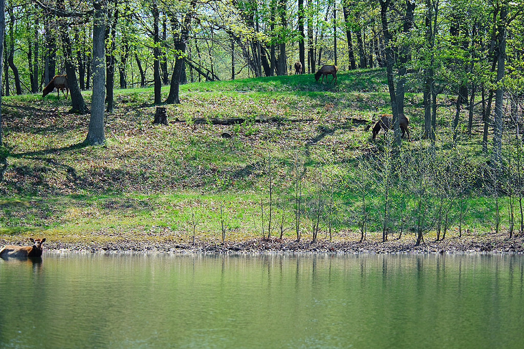 30 Best St. Louis Hikes (To Explore Nature For All Hiking Levels)