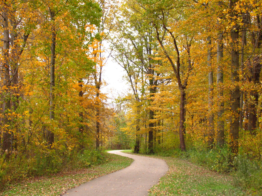 20 Best State Parks in Ohio (With Camping, Hiking, & Waterfalls)