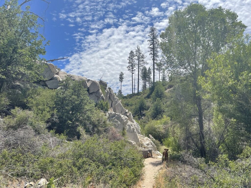 10 Best Hiking Trails in Lake Arrowhead (For Novice Hikers!)