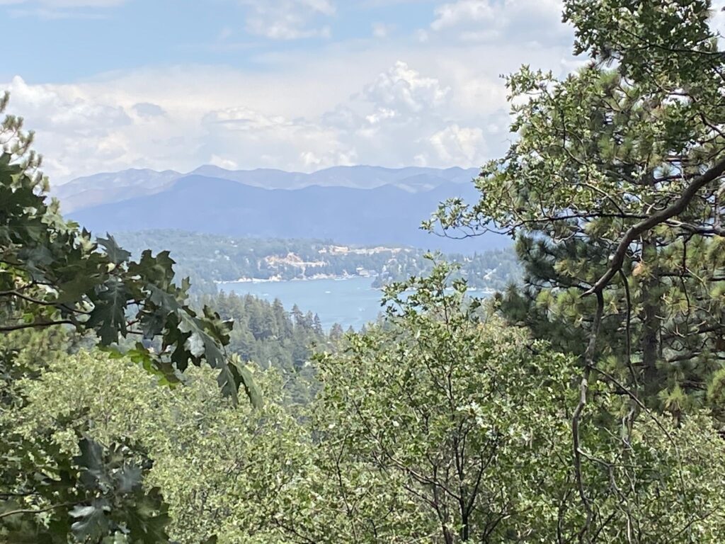 10 Best Hiking Trails in Lake Arrowhead (For Novice Hikers!)