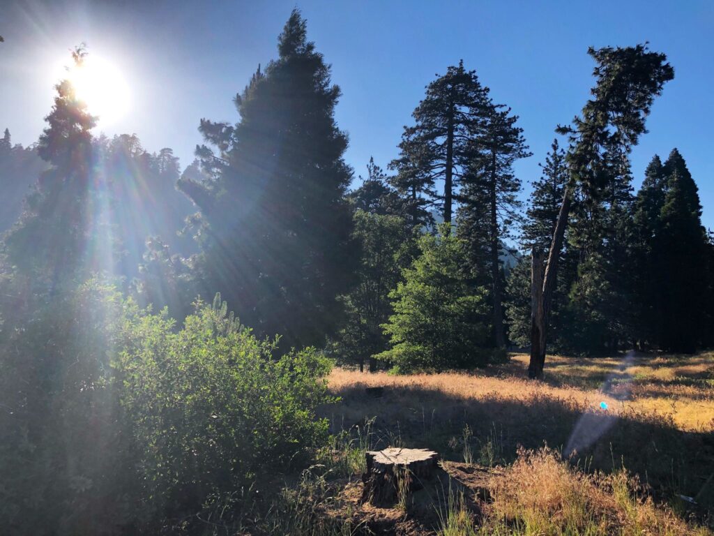 10 Best Hiking Trails in Lake Arrowhead (For Novice Hikers!)