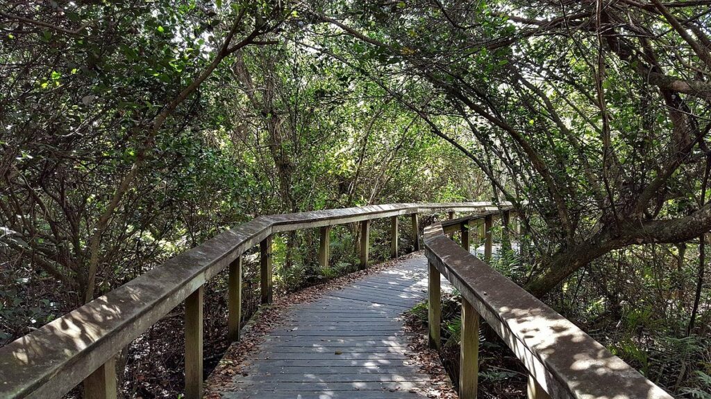 10 Best Miami Hiking Trails (Full Of WIldlife!)