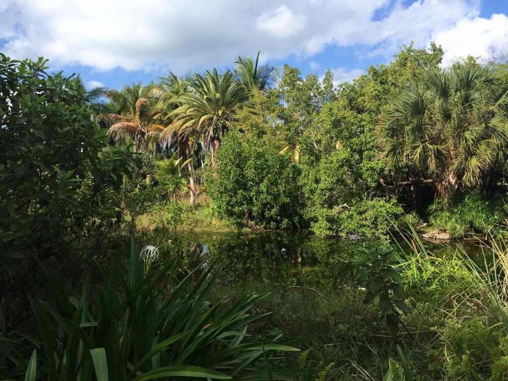 10 Best Miami Hiking Trails (Full Of WIldlife!)