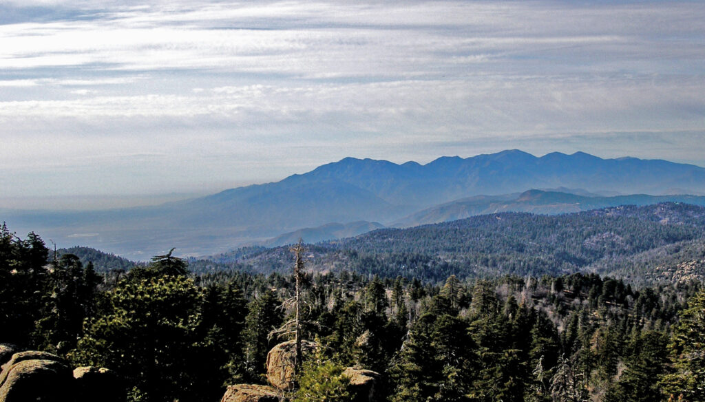 19 Best Hiking Trails in San Bernardino (Breathtaking Peaks!)
