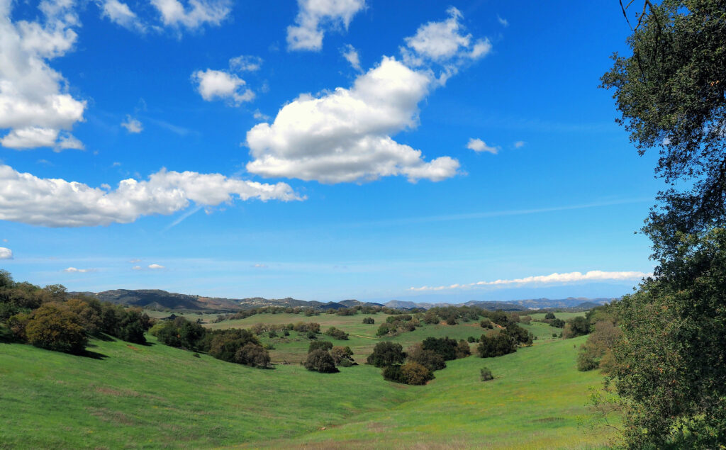 10 Best Hiking Trails in Temecula (Striking Views & Cardio Rich)
